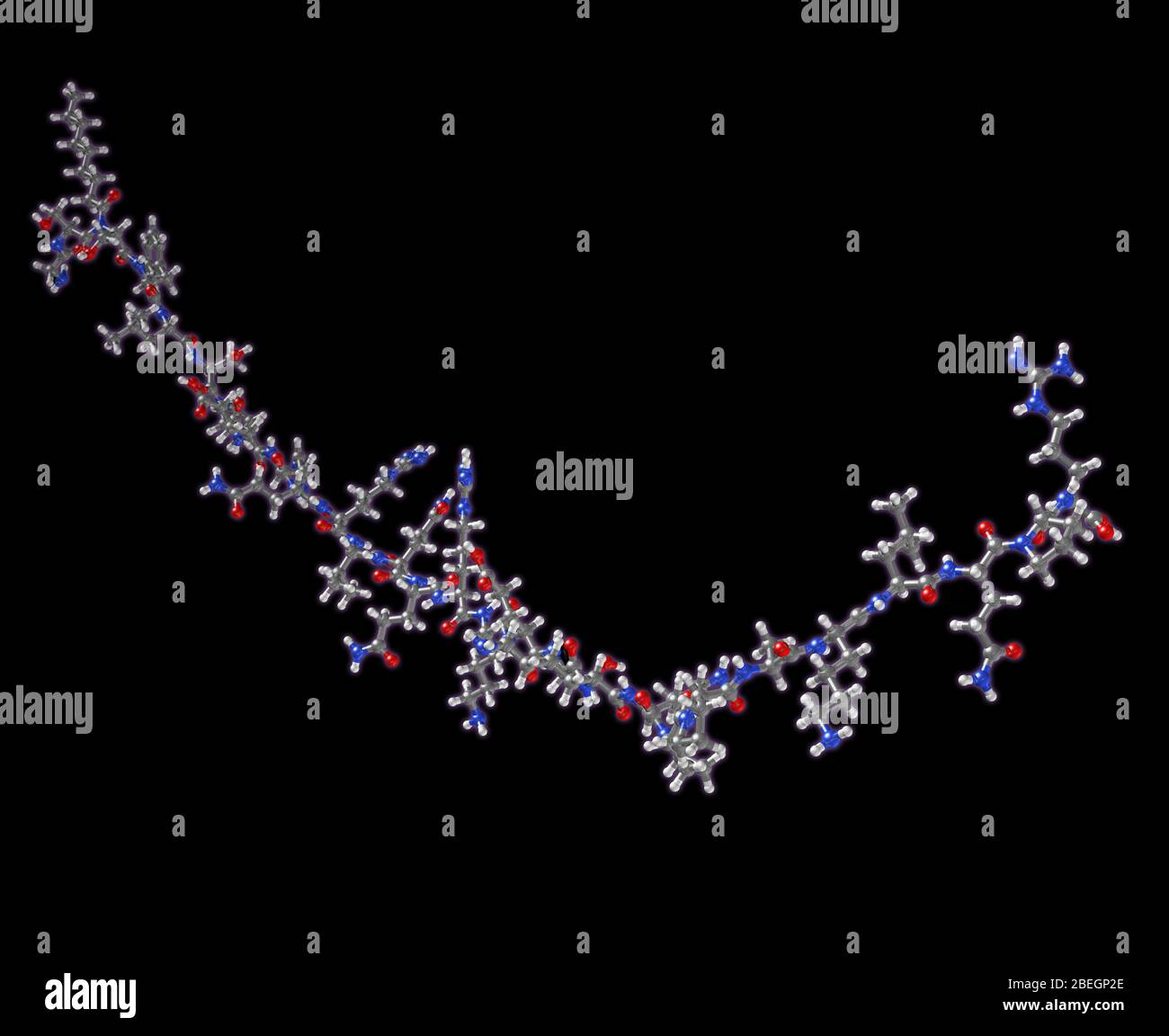 Ghrelin hi-res stock photography and images - Alamy
