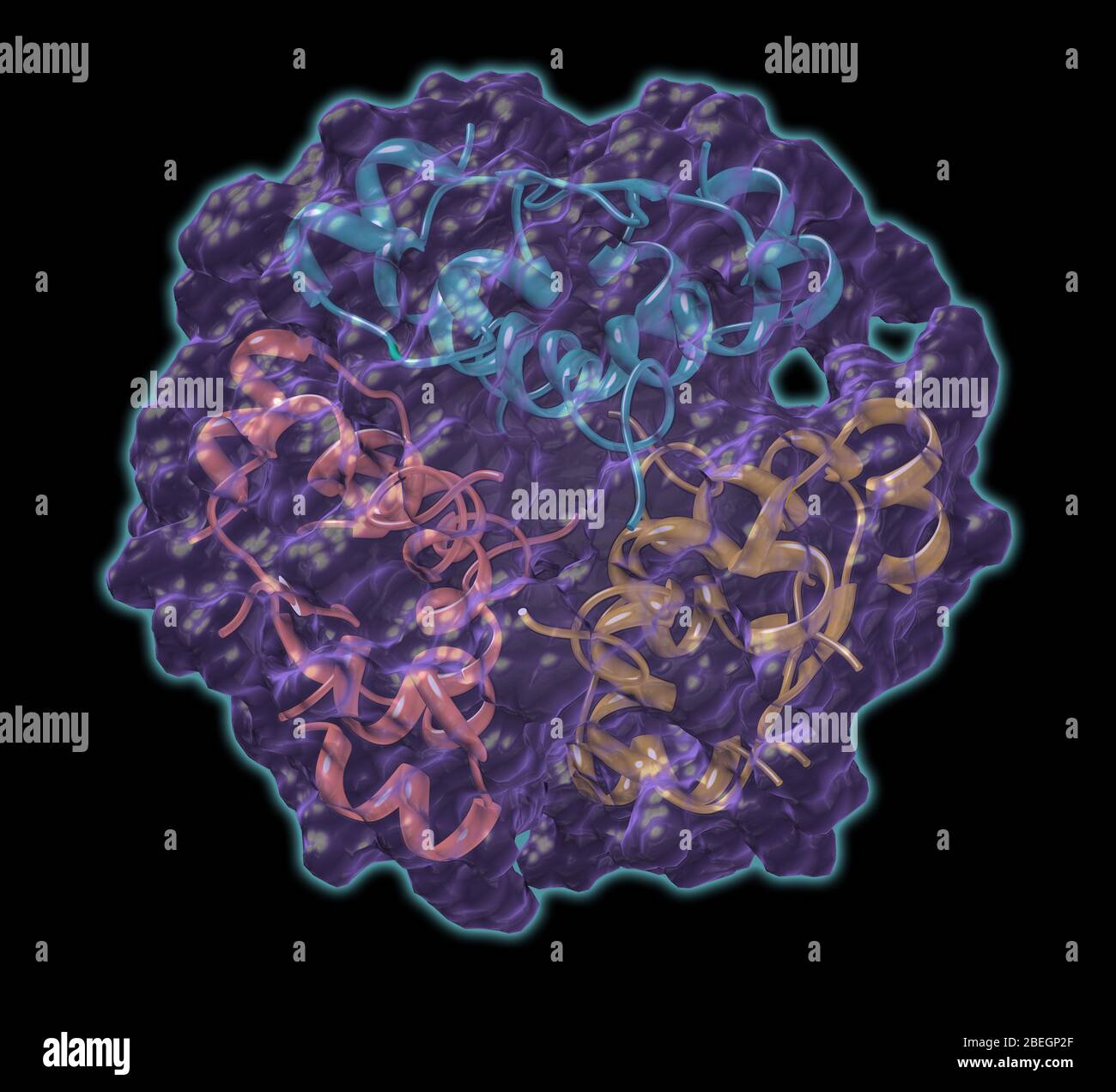 Insulin molecule hi-res stock photography and images - Alamy