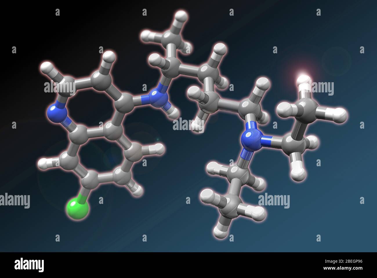 Chromalveolate hi-res stock photography and images - Alamy
