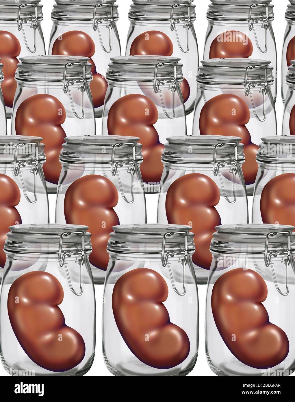 Body parts jars hi-res stock photography and images - Alamy