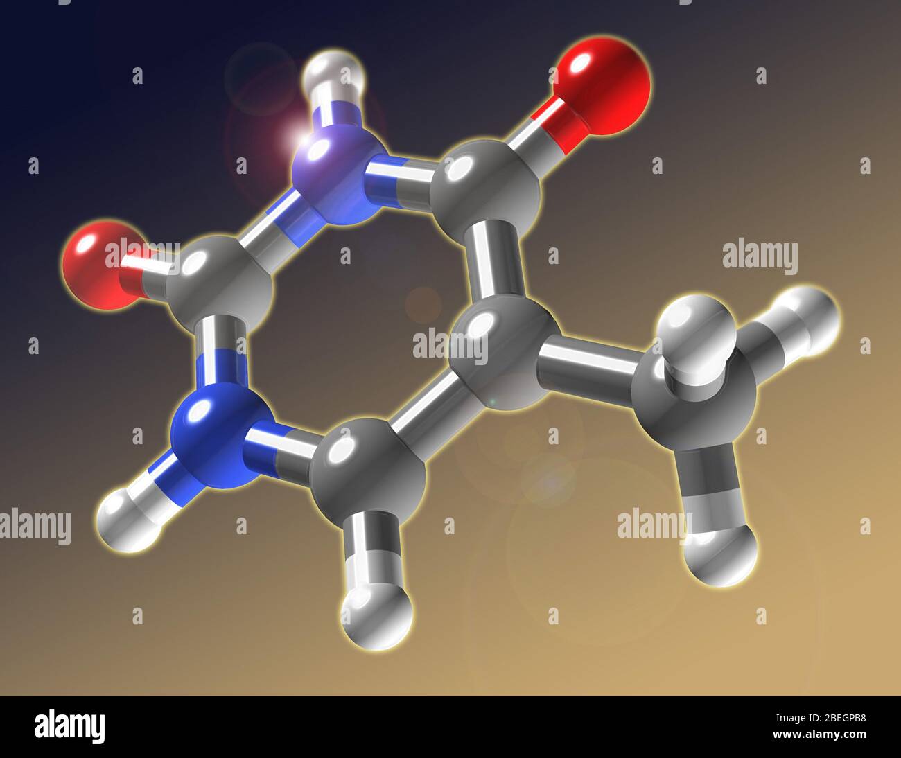Thymine Molecule