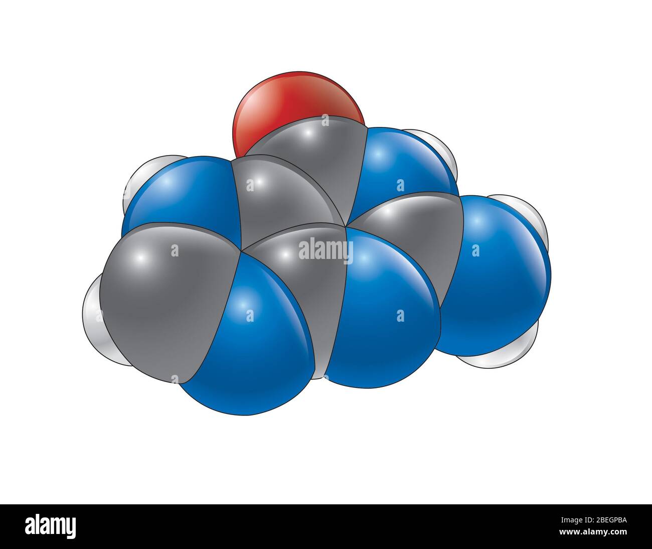 Guanine hi-res stock photography and images - Alamy