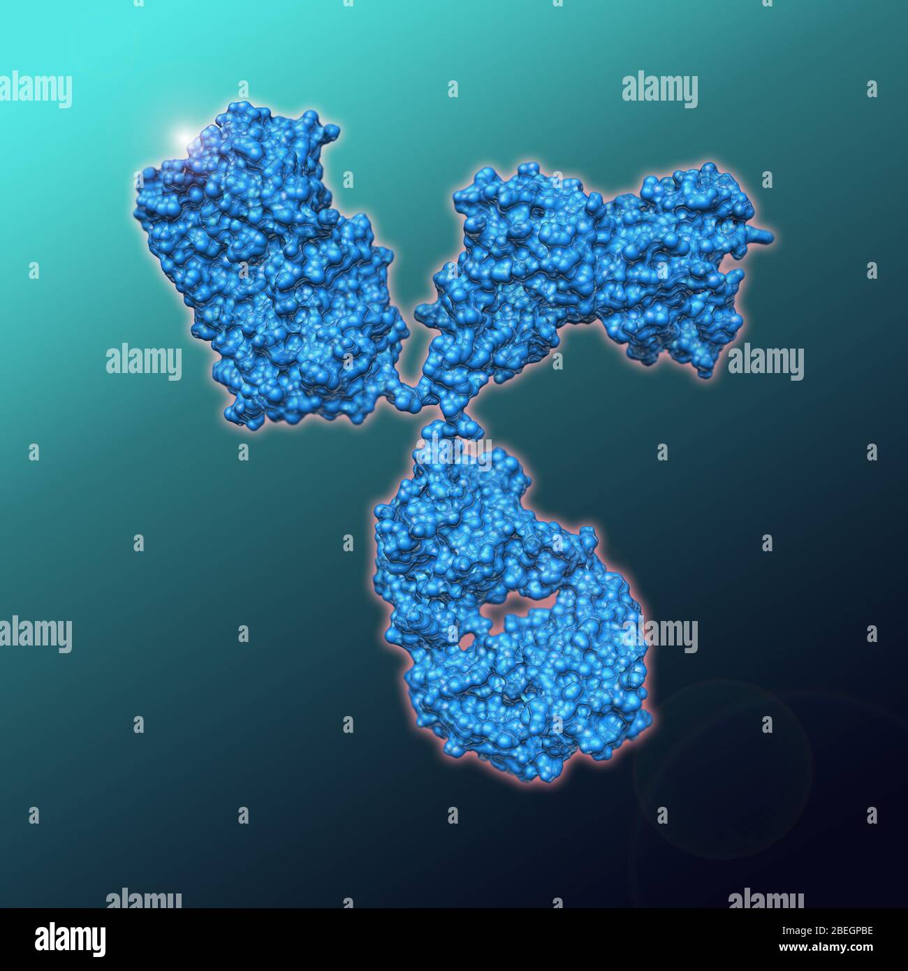 Immunoglobulin High Resolution Stock Photography and Images - Alamy