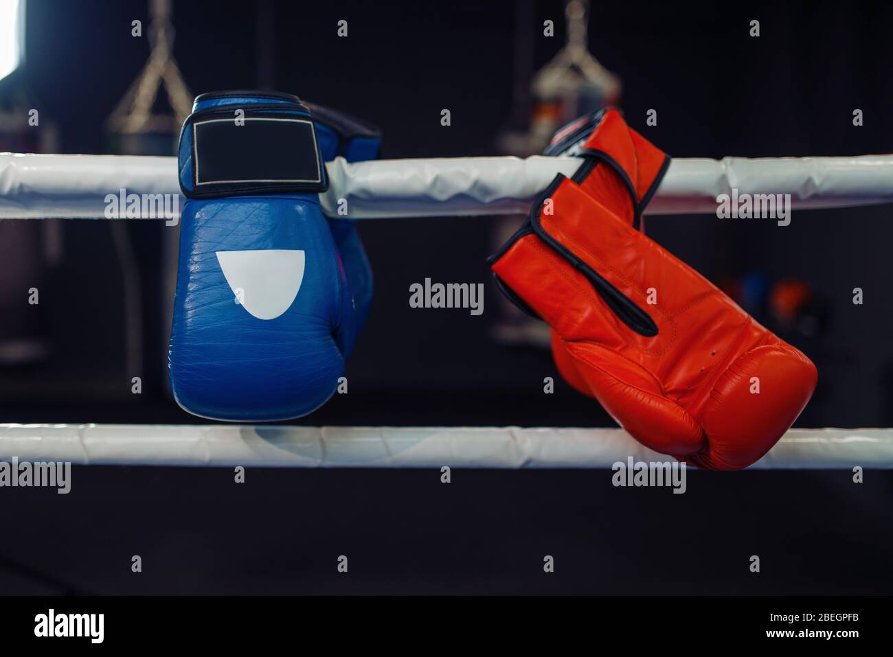 Red and blue boxing gloves on a ropes, nobody Stock Photo - Alamy