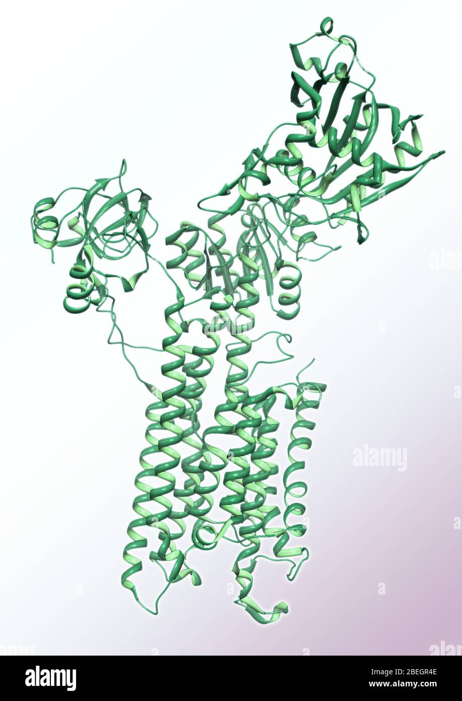 Ion gradient hi-res stock photography and images - Alamy