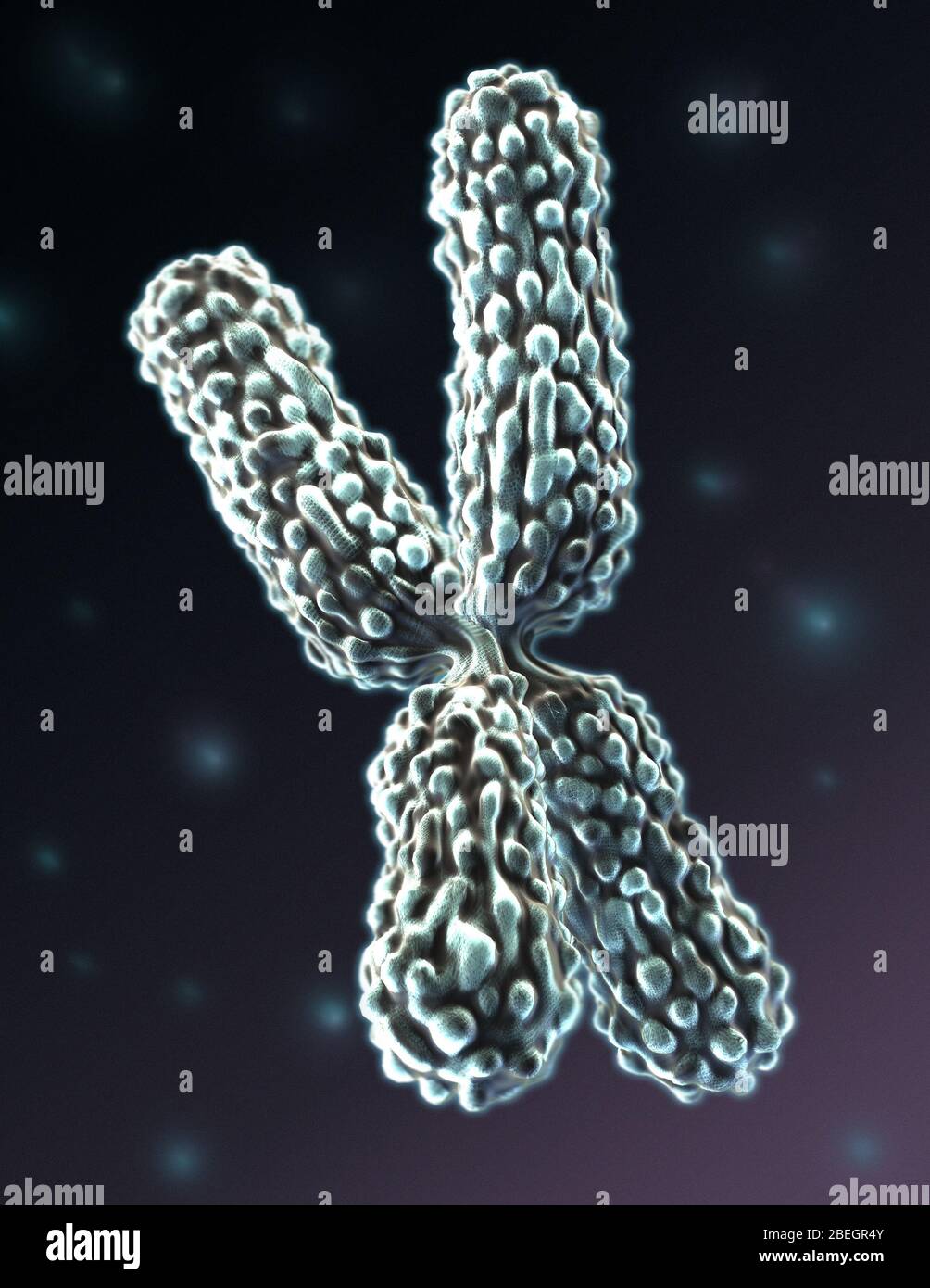 Genetic illustration hi-res stock photography and images - Alamy