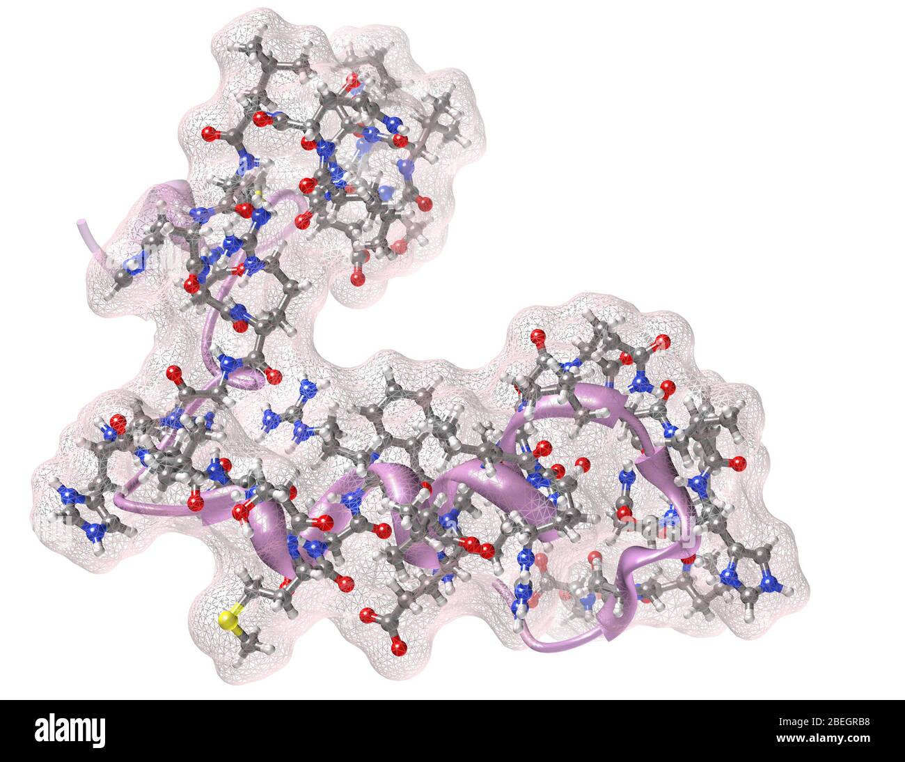 Parathyroid hormone hi-res stock photography and images - Alamy