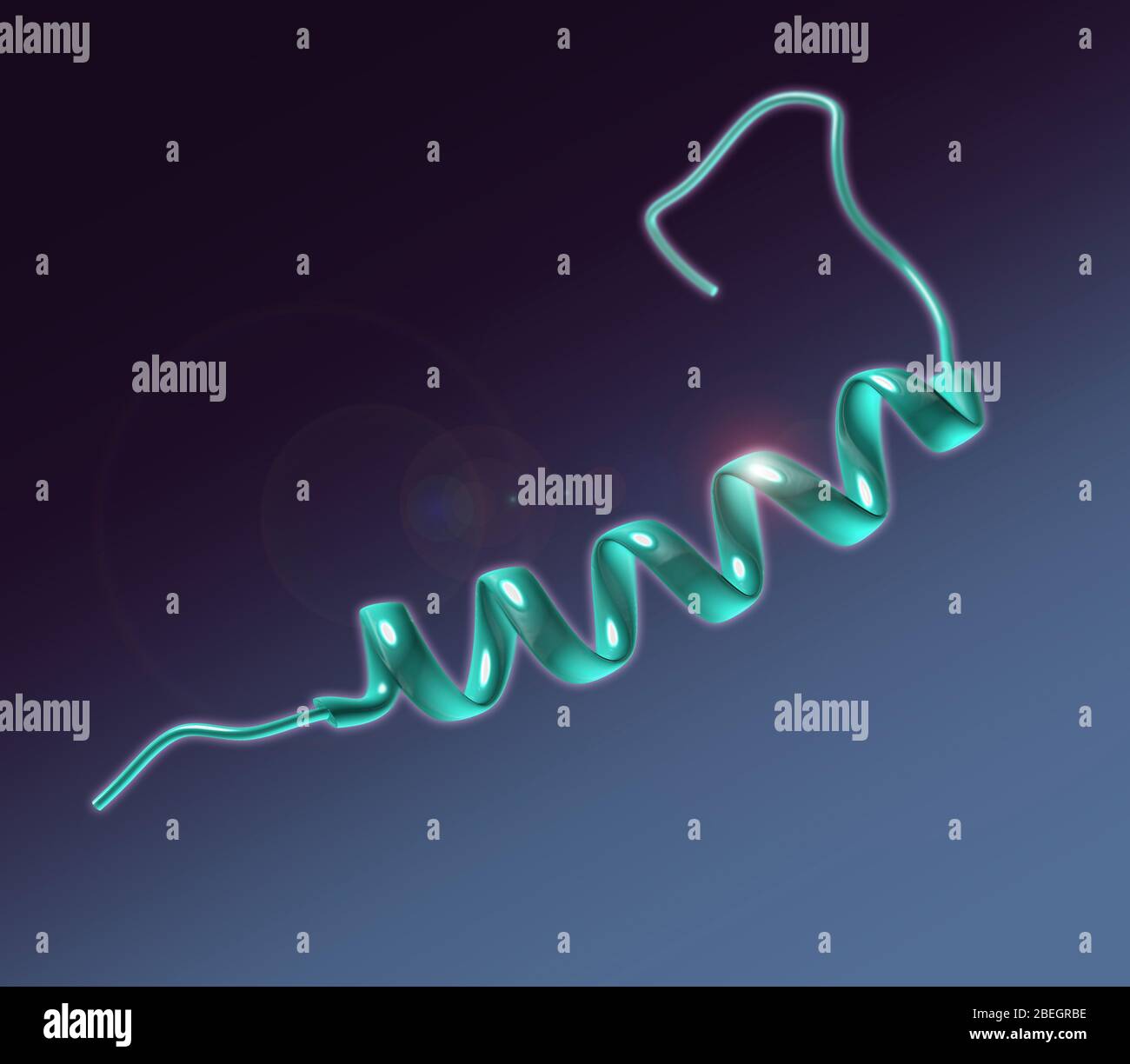 Polypeptide hi-res stock photography and images - Alamy