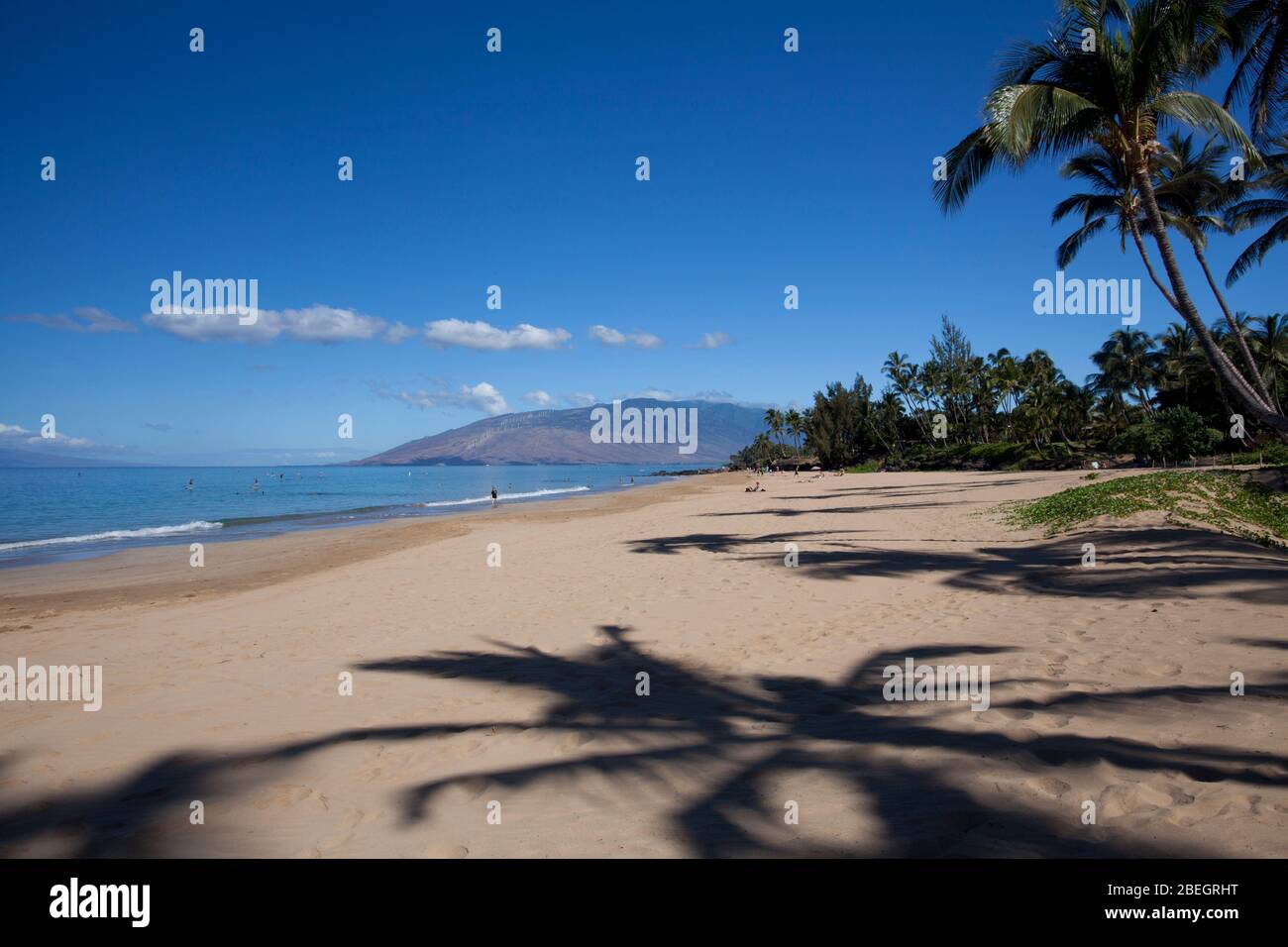 Palm tree shadows at Charley Young Beach, Kihei, Maui, Hawaii Stock ...