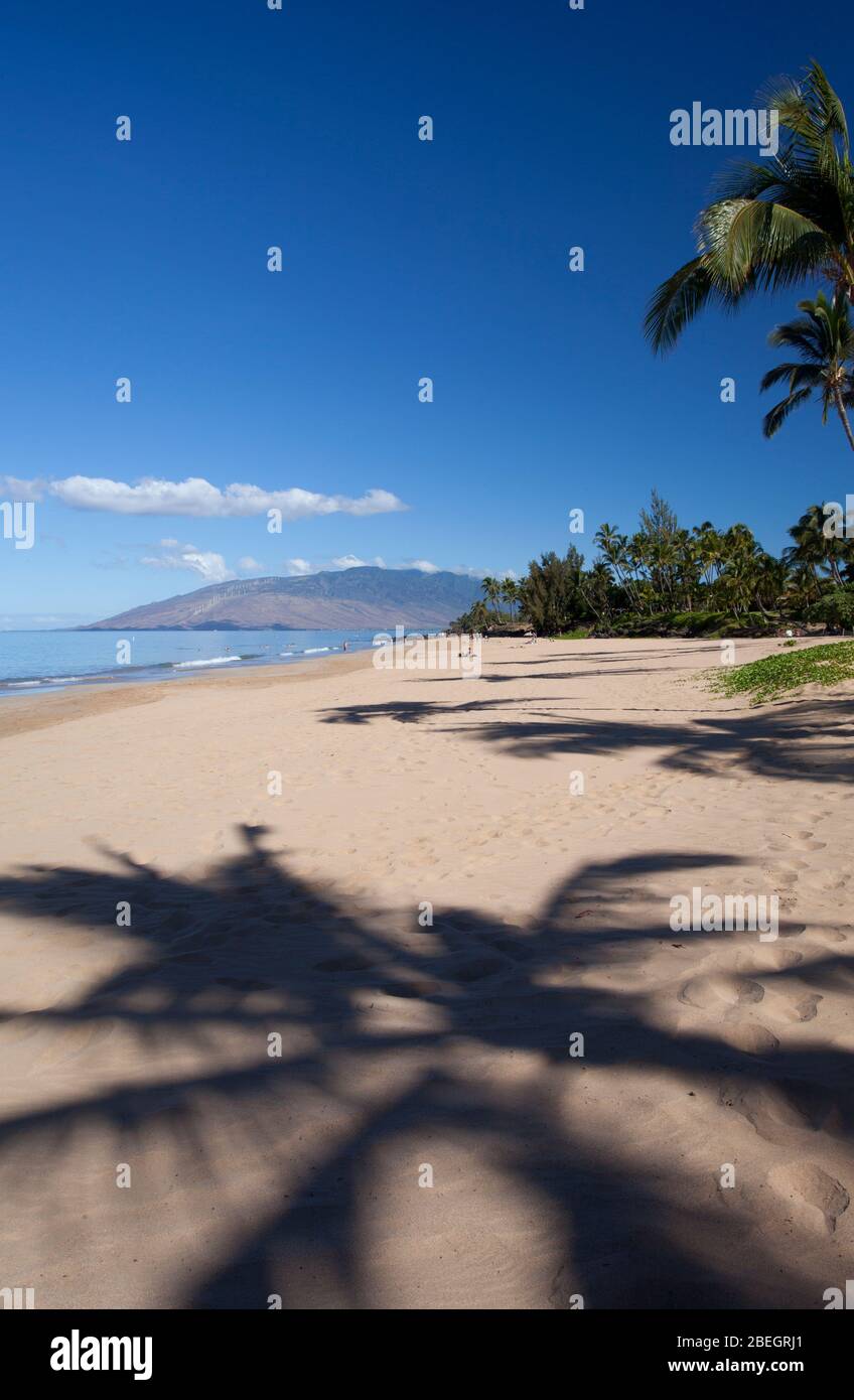 Palm tree shadows at Charley Young Beach, Kihei, Maui, Hawaii Stock ...