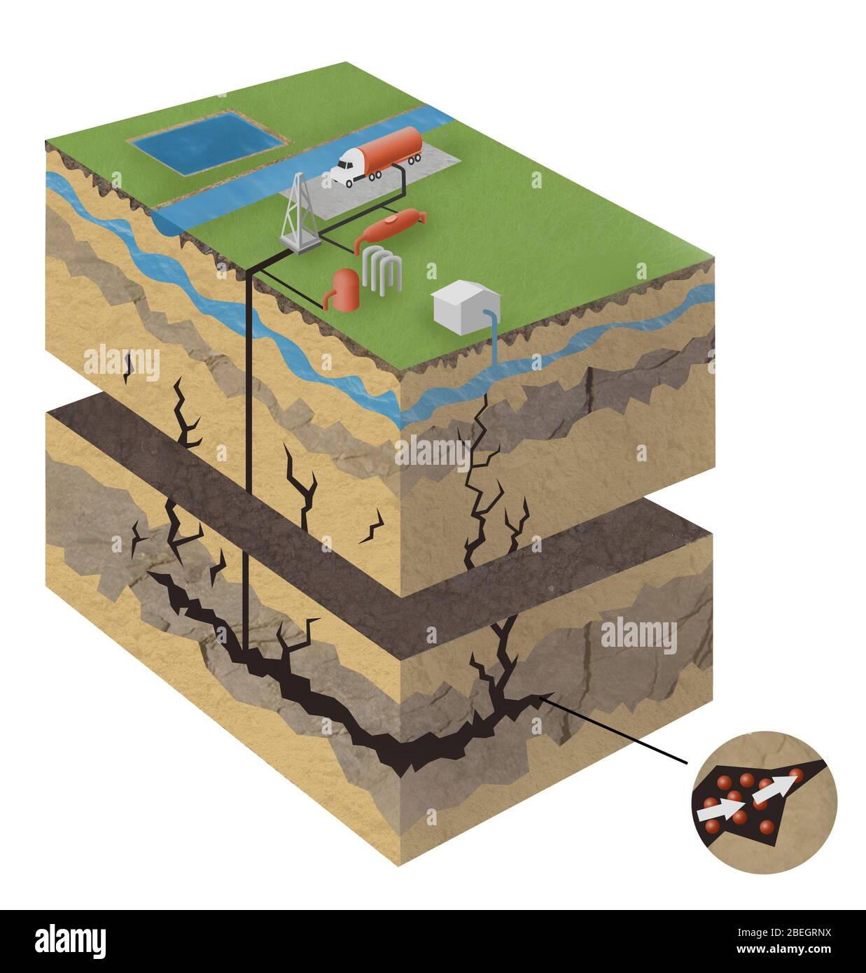 Fossil diagram hi-res stock photography and images - Alamy