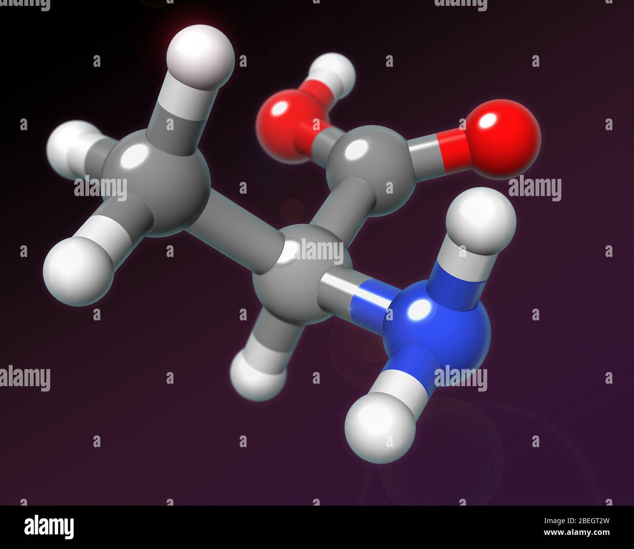 Alanine hi-res stock photography and images - Alamy