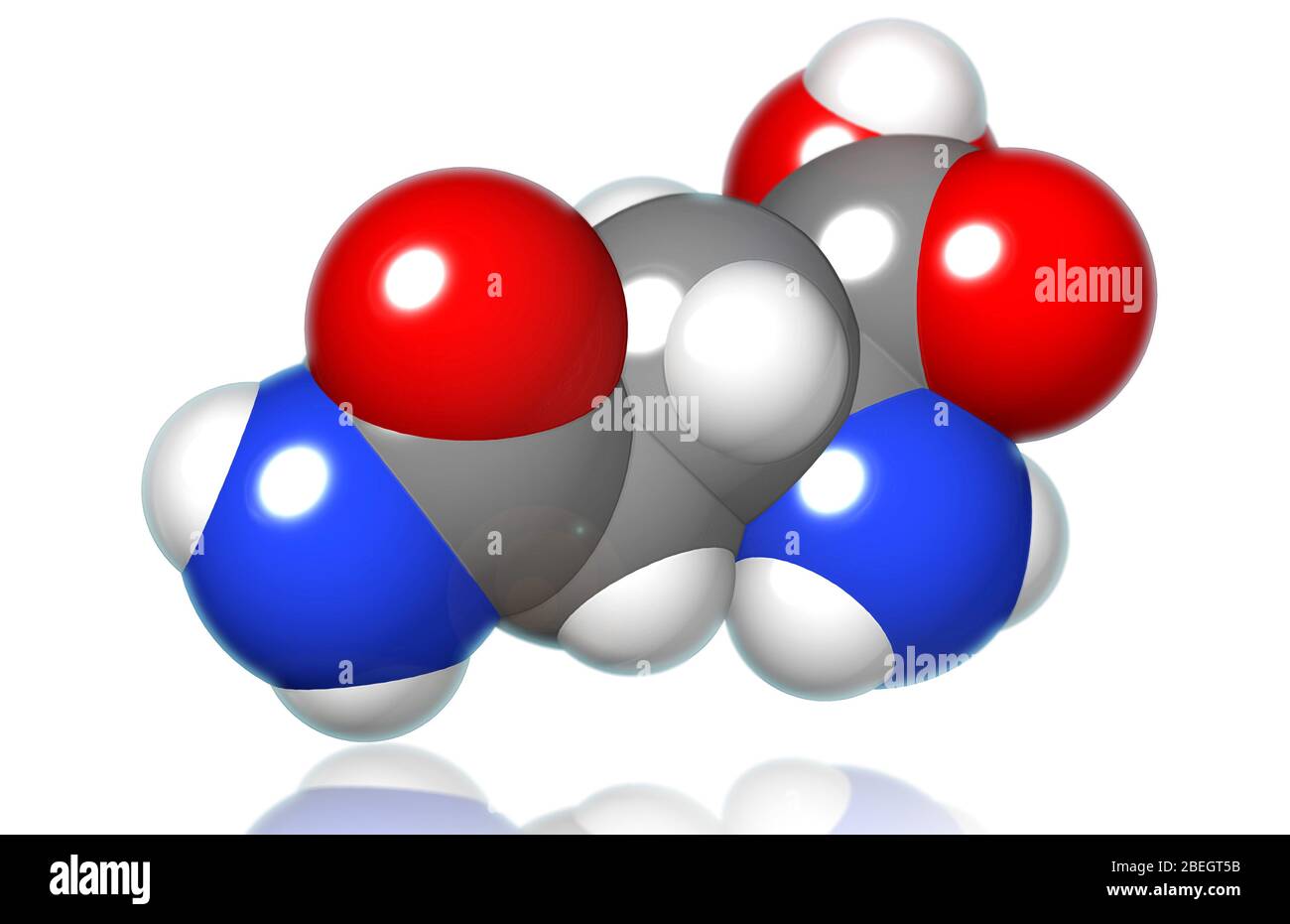 Glutamine hi-res stock photography and images - Alamy