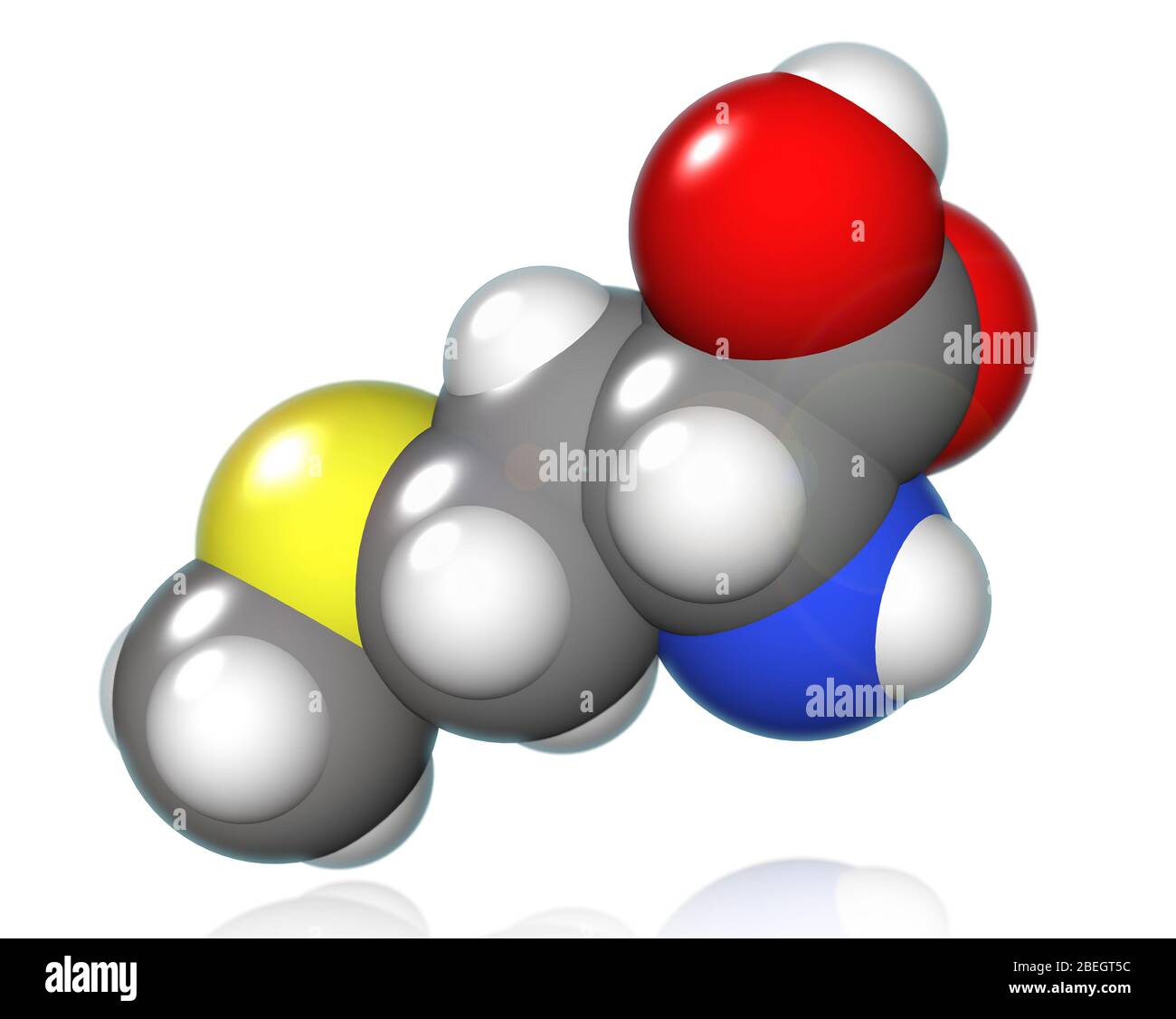 Methionine hi-res stock photography and images - Alamy