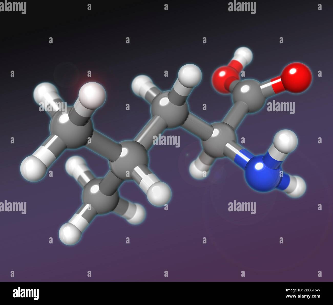 Leucine hi-res stock photography and images - Alamy