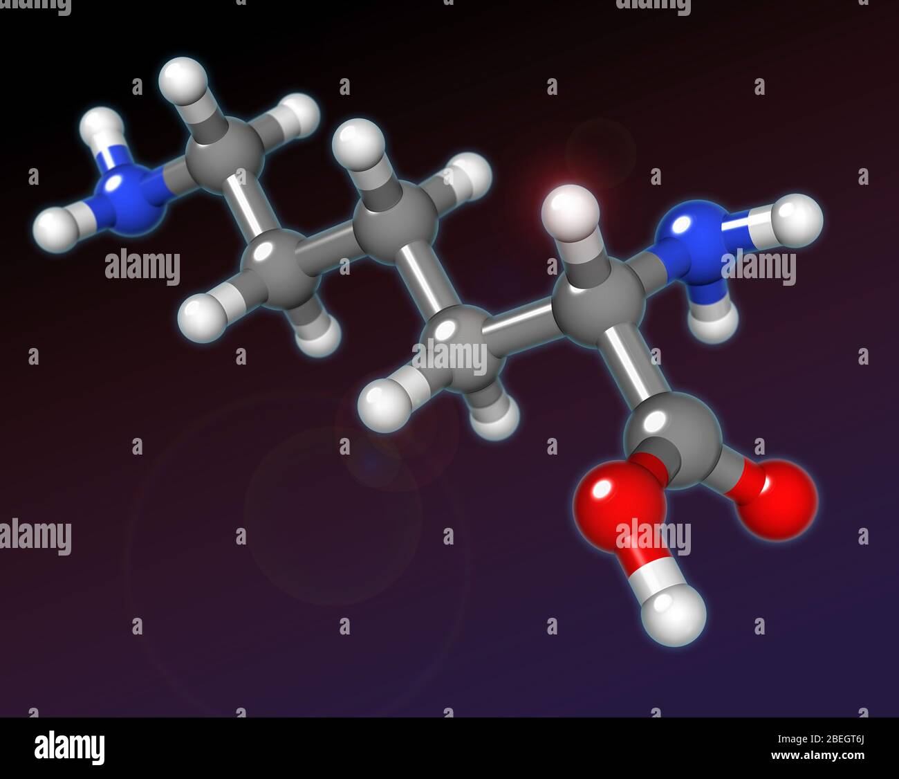 Lysine molecular hi-res stock photography and images - Alamy