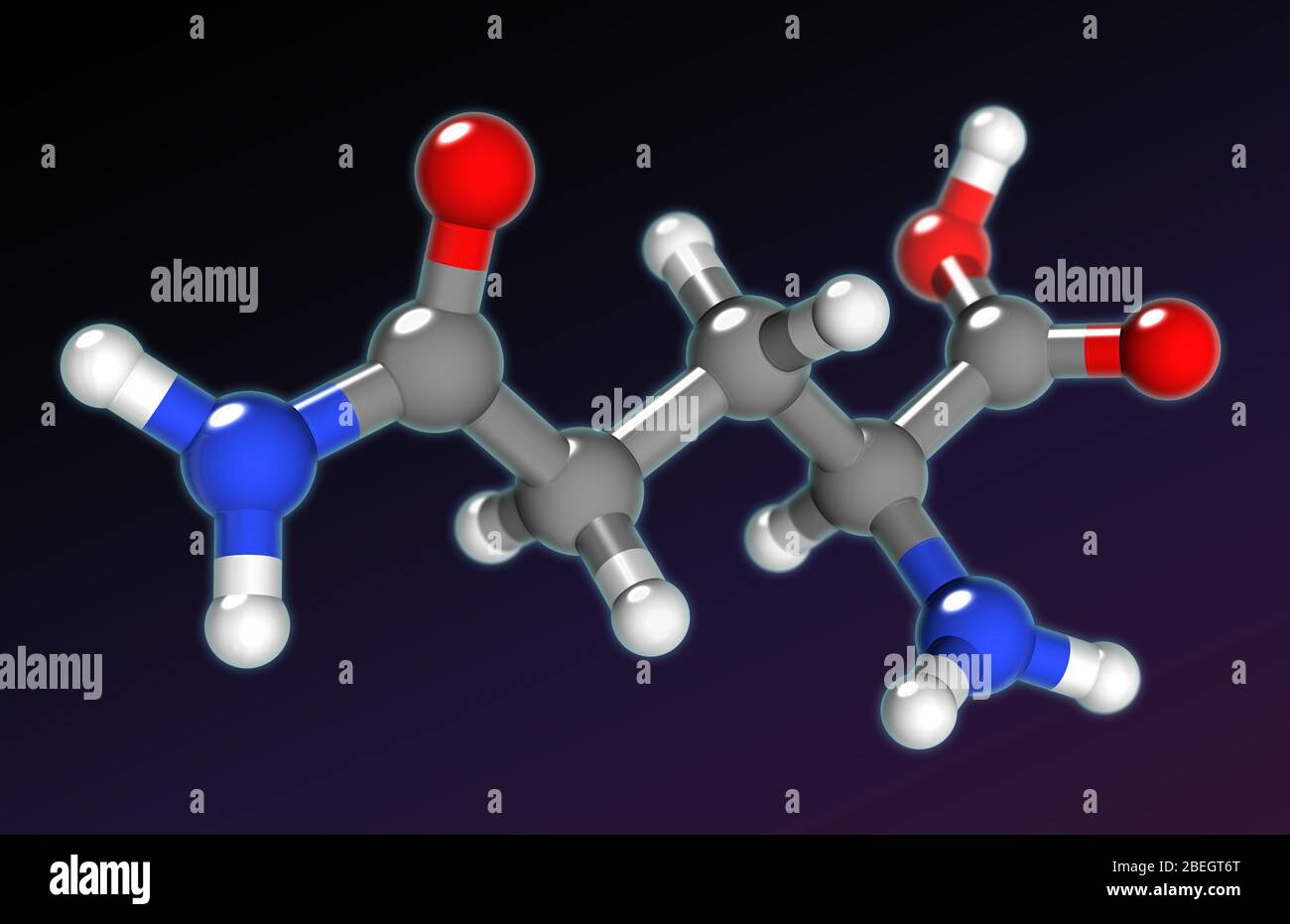 Glutamine hi-res stock photography and images - Alamy