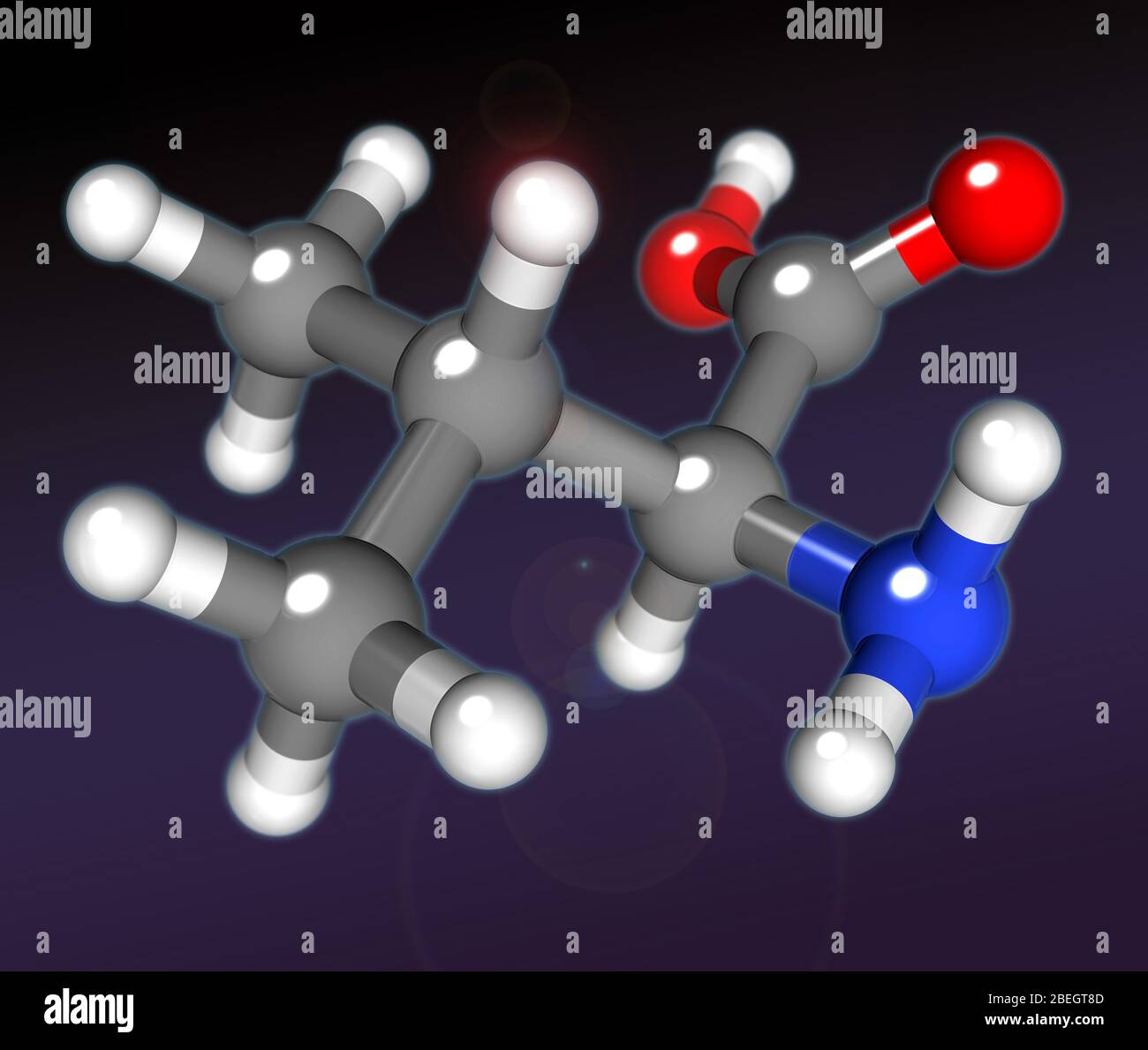 Valine hi-res stock photography and images - Alamy