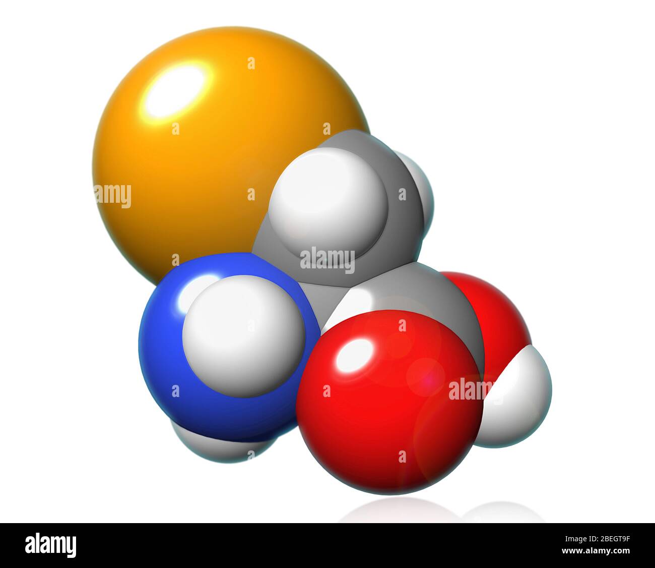 Selenocysteine hi-res stock photography and images - Alamy