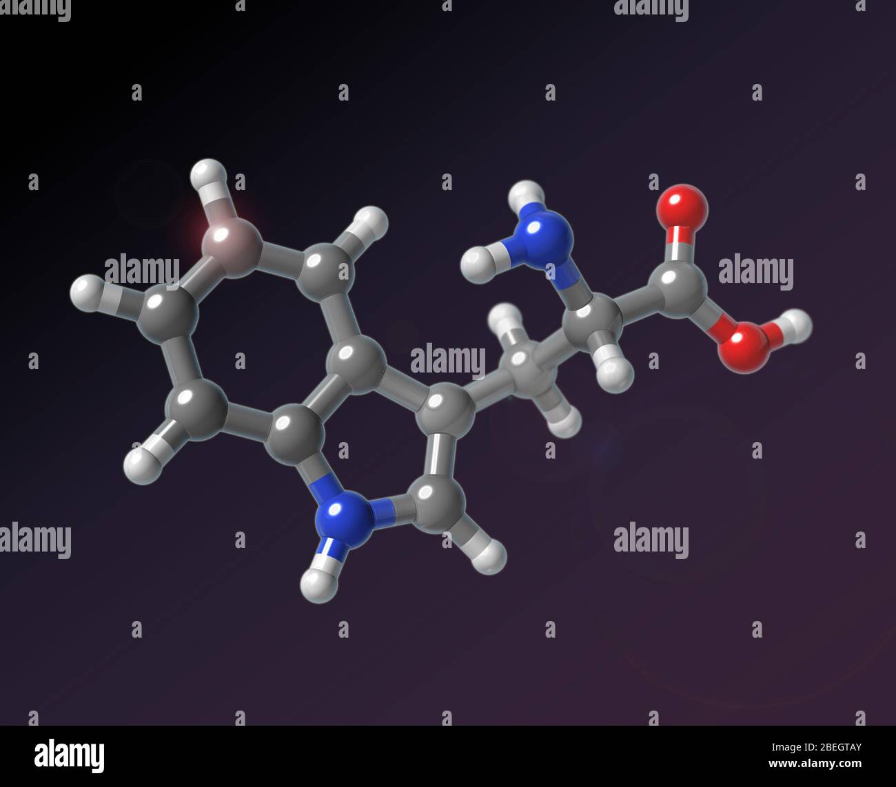 Tryptophan amino acid hi-res stock photography and images - Alamy