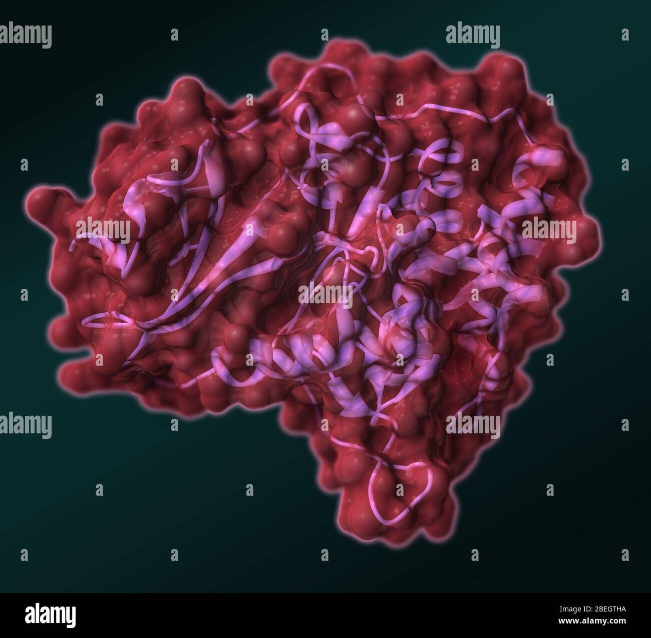 Casein hi-res stock photography and images - Alamy