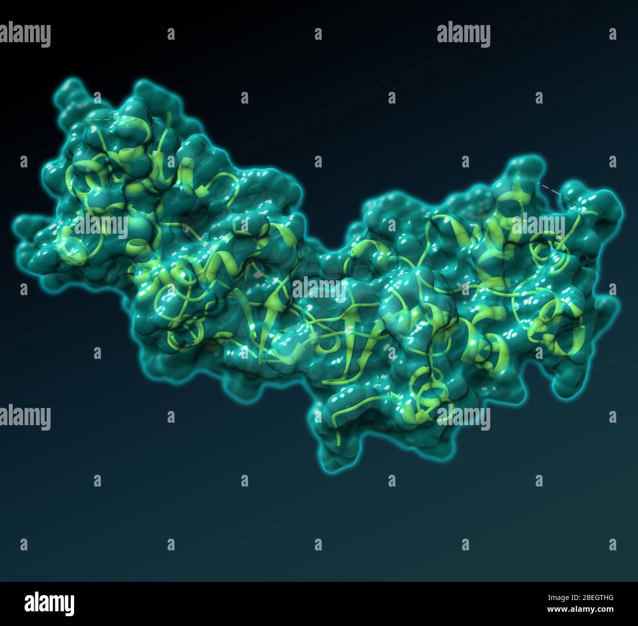 Casein High Resolution Stock Photography and Images - Alamy