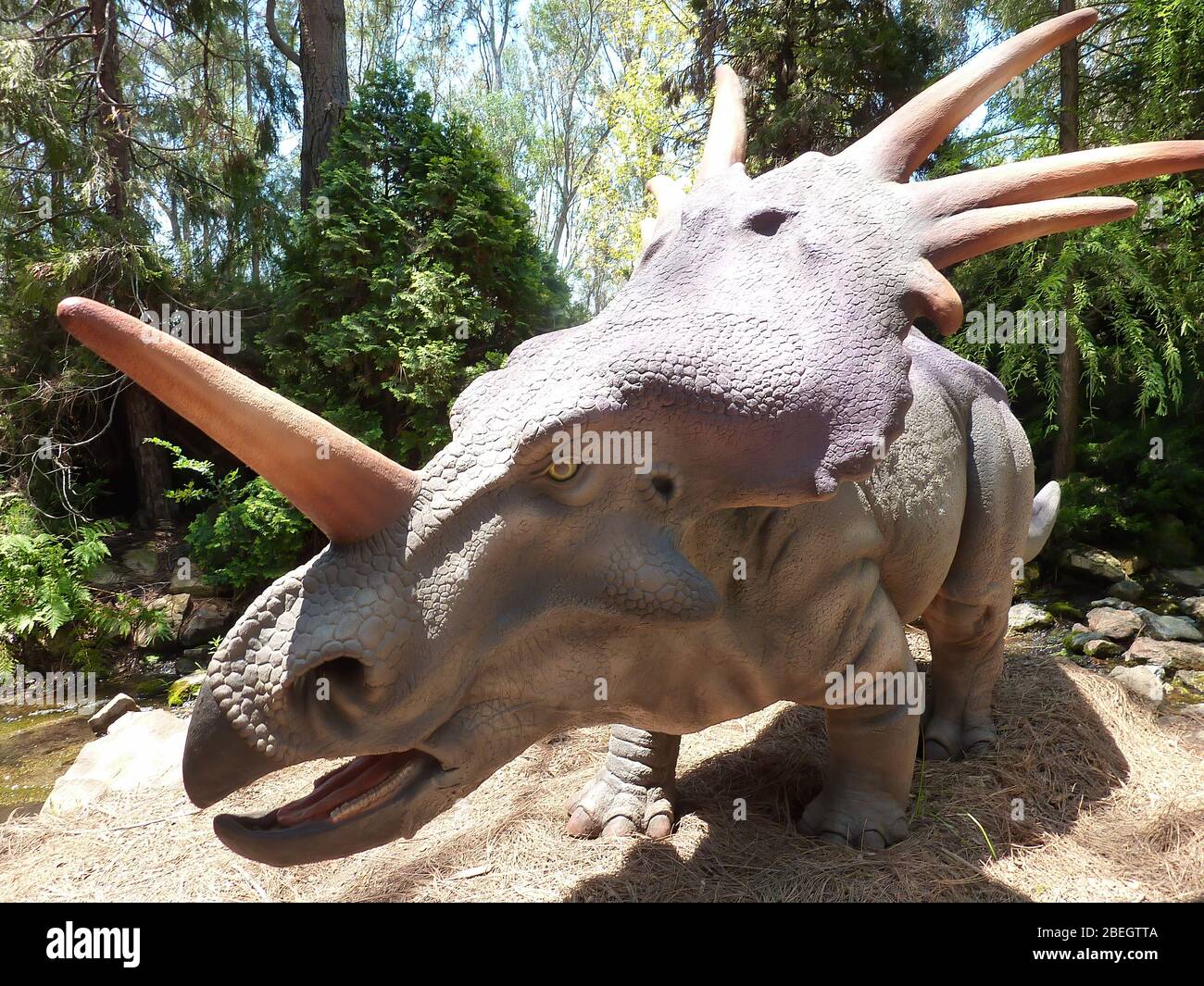 Triceratops Statue High Resolution Stock Photography and Images - Alamy