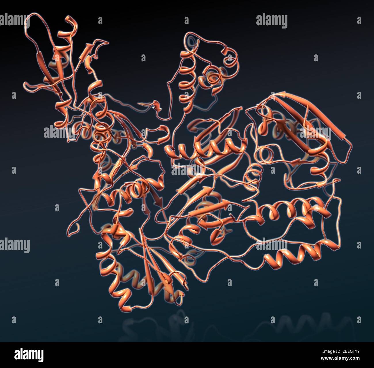 Hiv reverse transcriptase enzyme hi-res stock photography and images ...