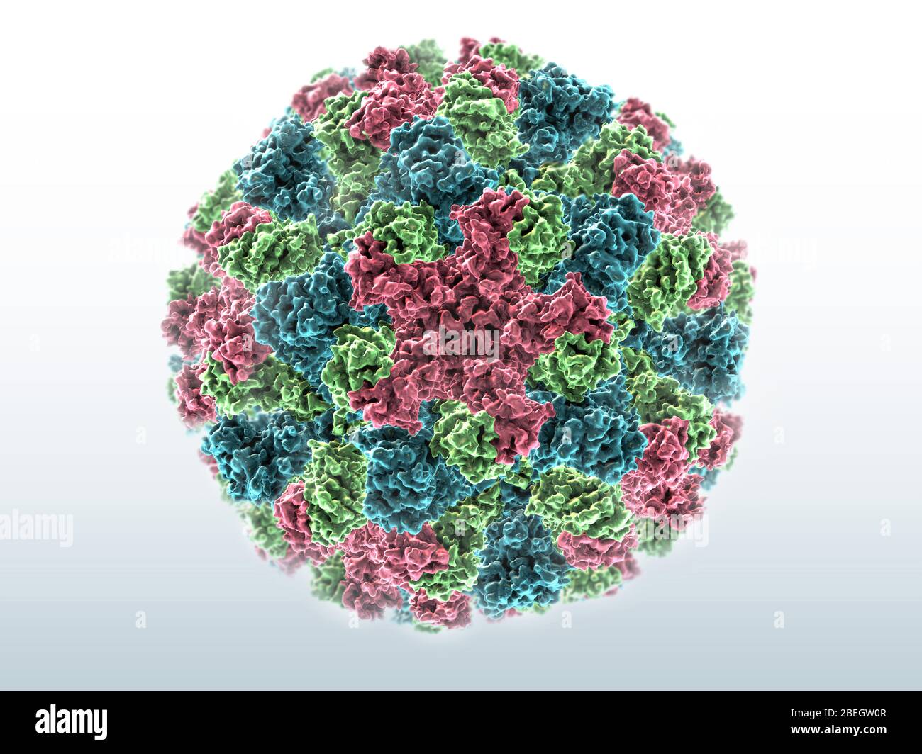 Acute viral disease hi-res stock photography and images - Alamy