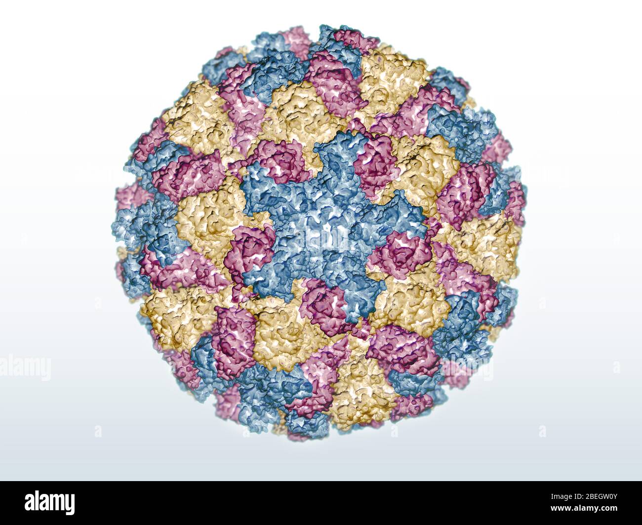 Norovirus gastroenteritis hi-res stock photography and images - Alamy