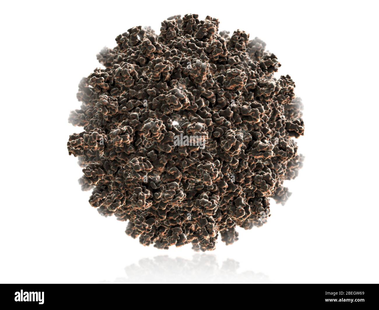 Hbv disease hi-res stock photography and images - Alamy