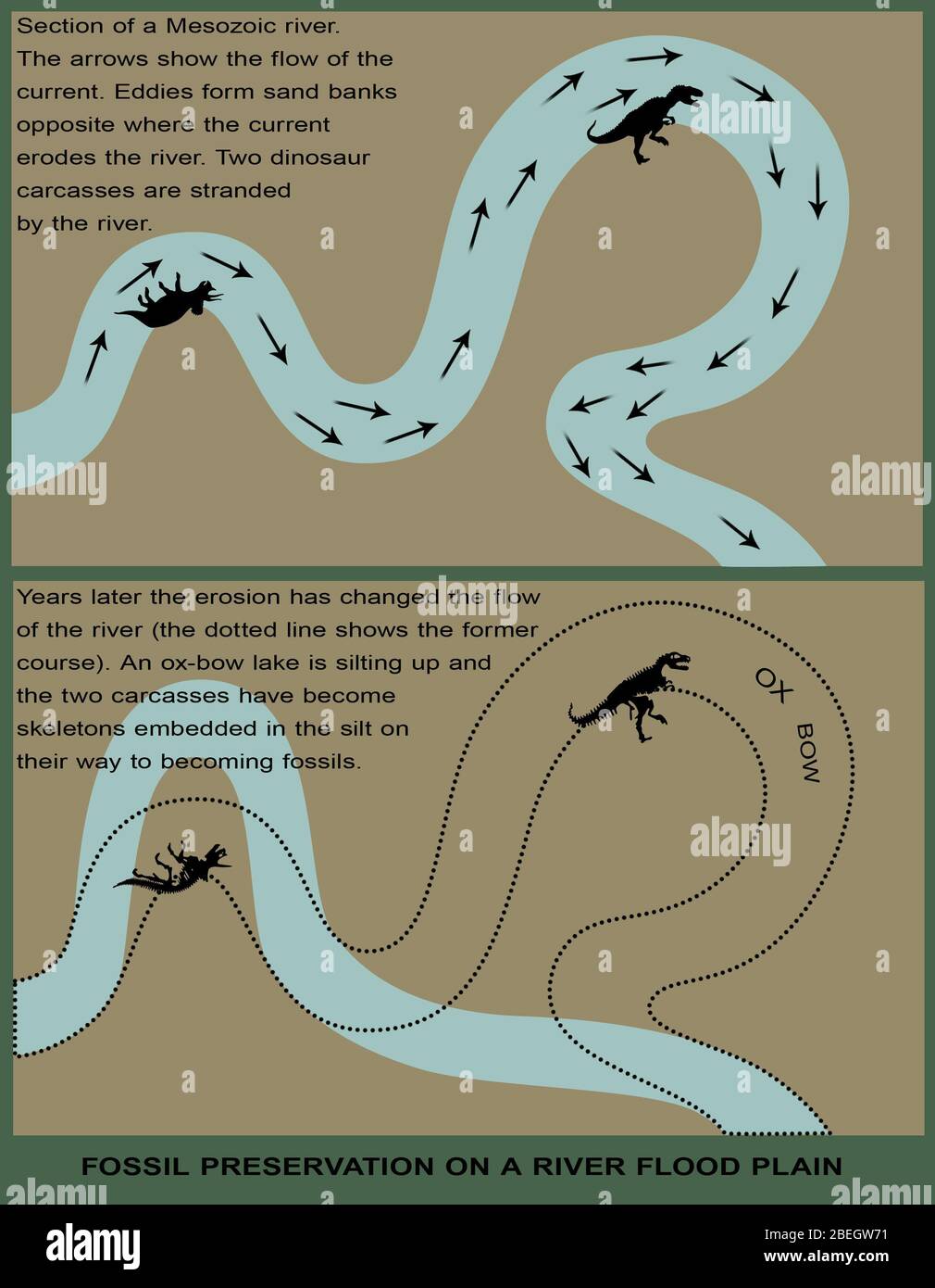 Fossil diagram hi-res stock photography and images - Alamy