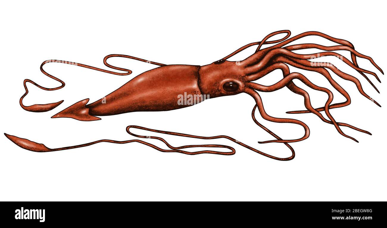 This giant Cut Out Stock Images & Pictures - Alamy