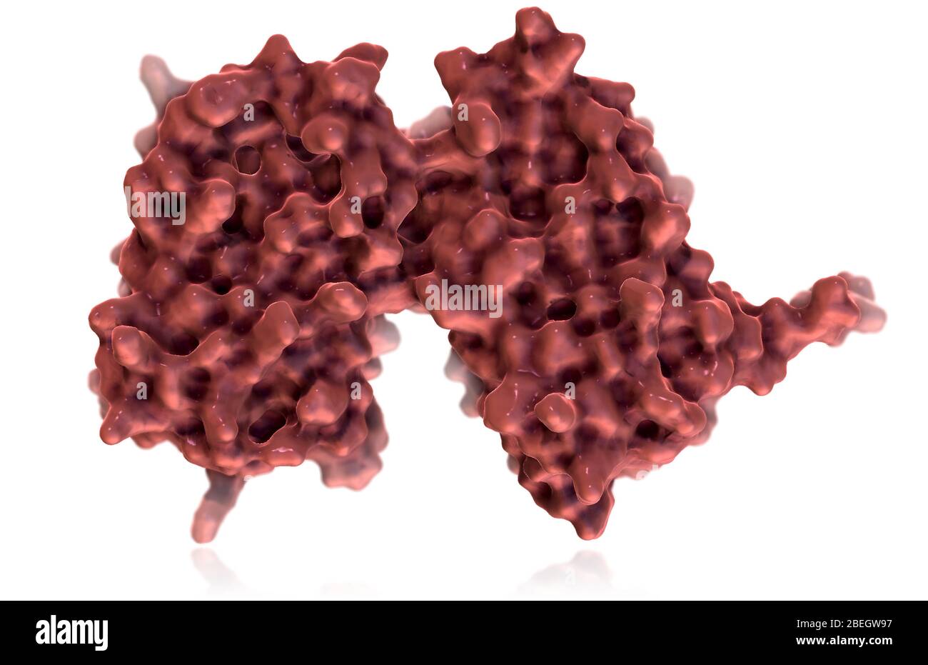 Ifn beta hi-res stock photography and images - Alamy