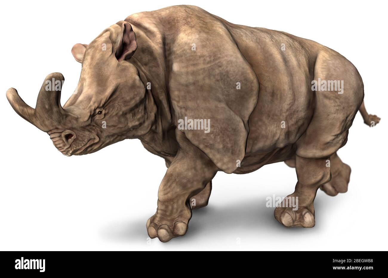 Eocene epoch hi-res stock photography and images - Alamy