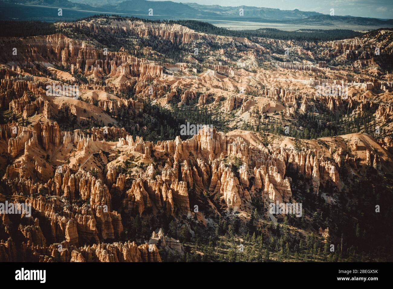 detail of Bryce Canyon from bryce point Stock Photo - Alamy