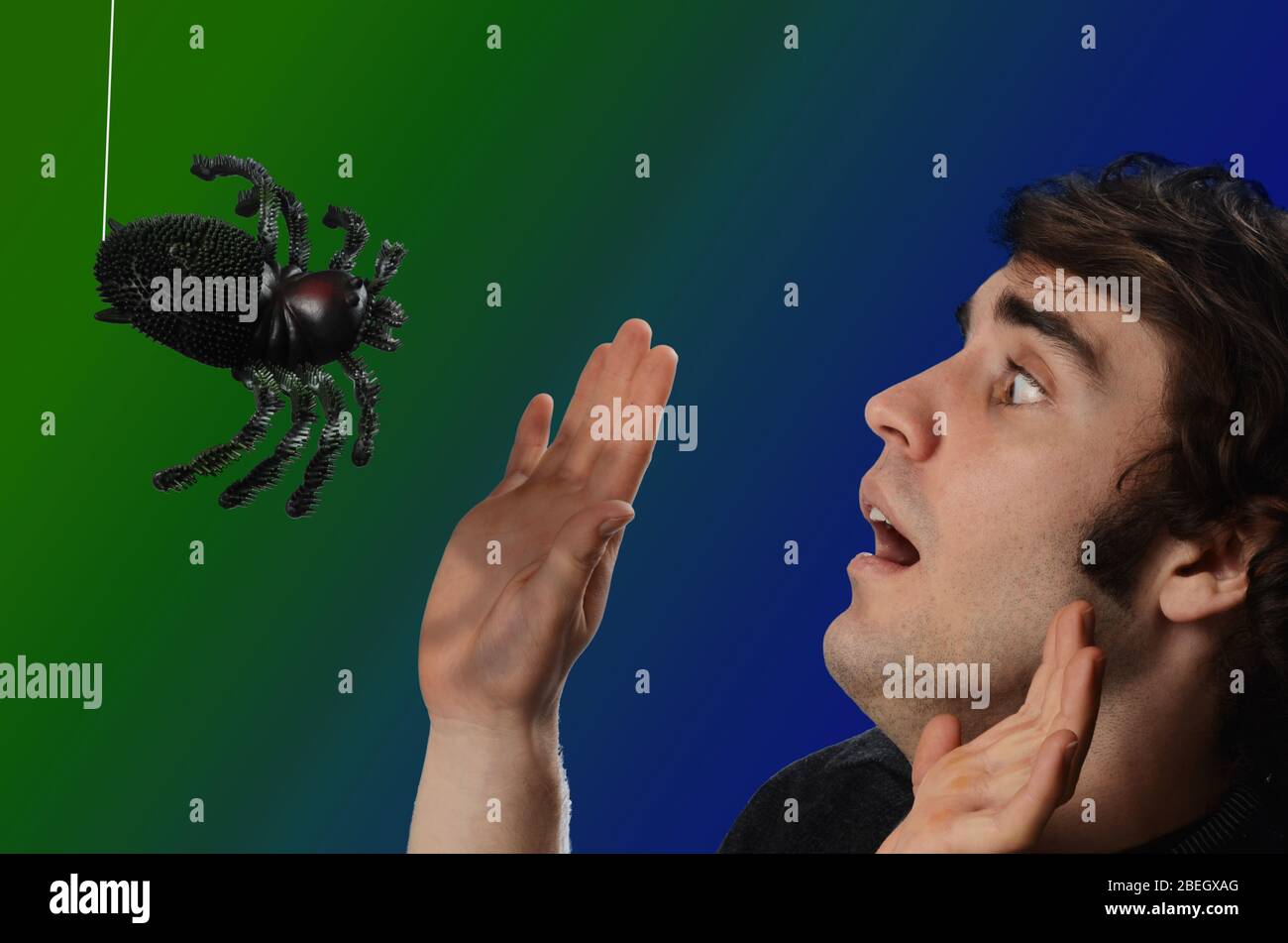 Arachnophobia hi-res stock photography and images - Alamy