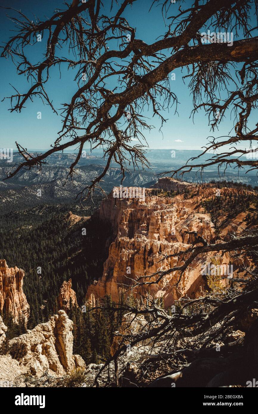Natural stone arch bryce canyon hi-res stock photography and images - Alamy