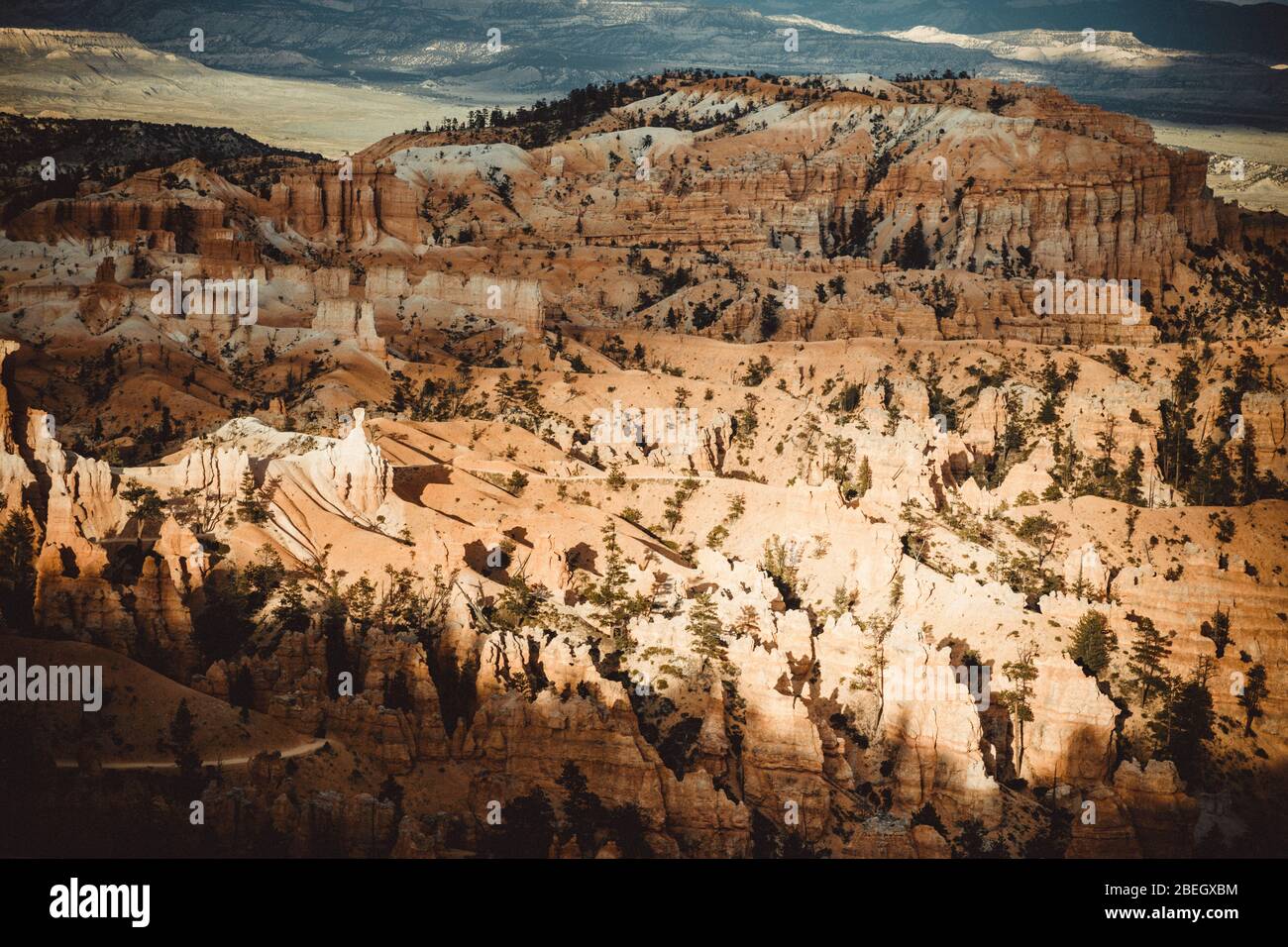 Canyon environment hi-res stock photography and images - Alamy