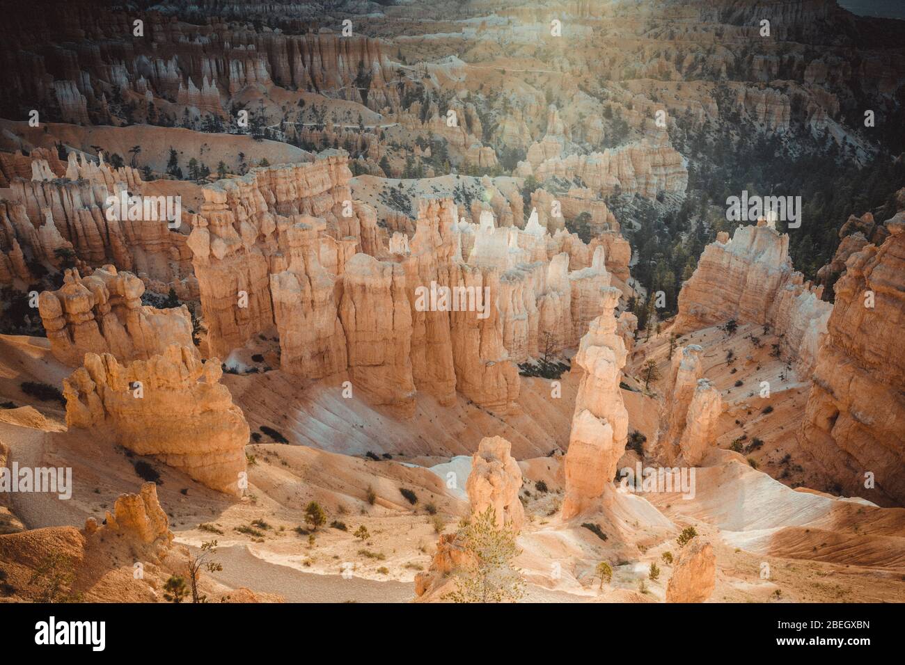 Fairyland Loop Trail in Bryce Canyon Stock Photo - Alamy