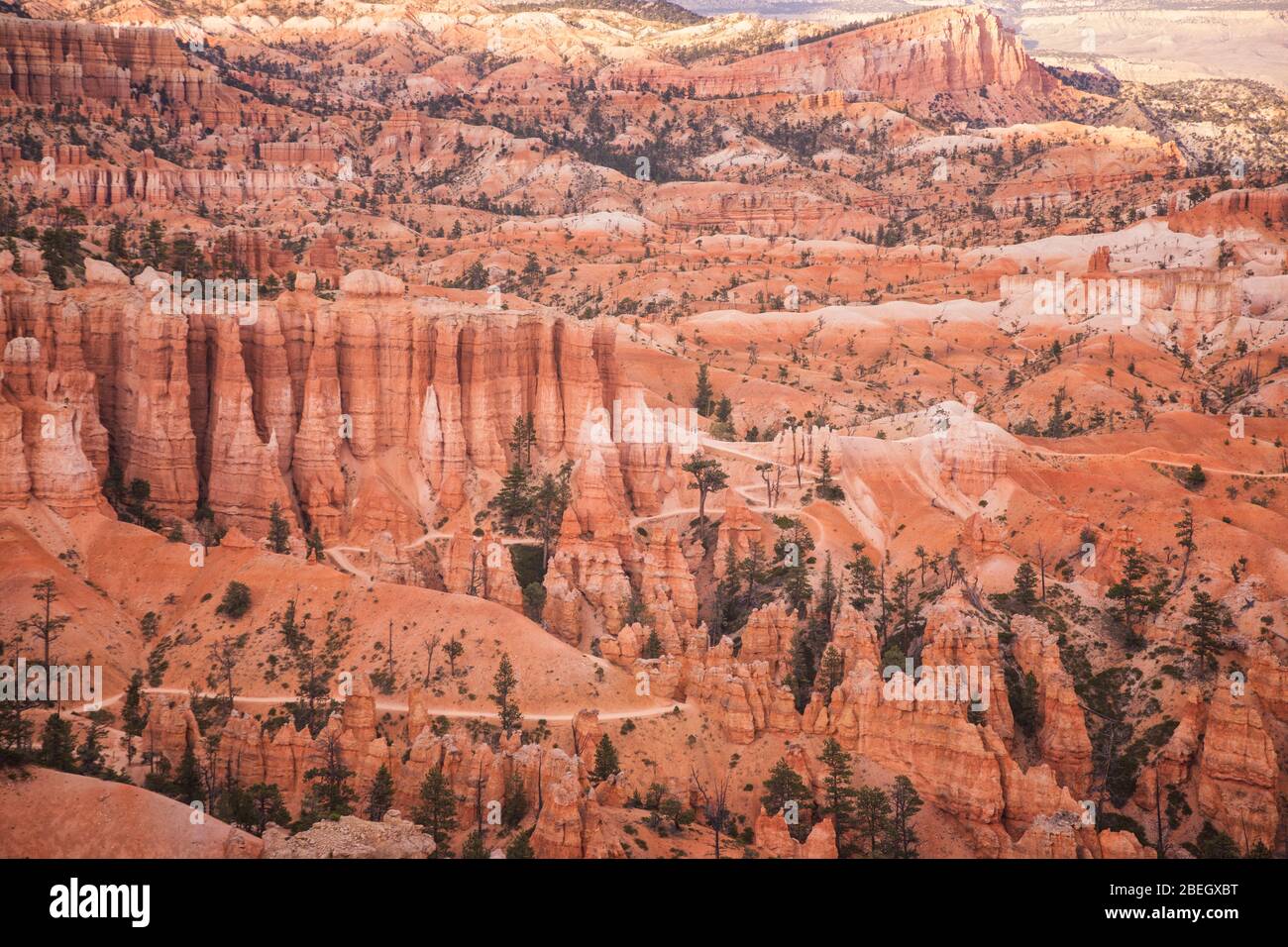 Fairyland Loop Trail in Bryce Canyon Stock Photo - Alamy