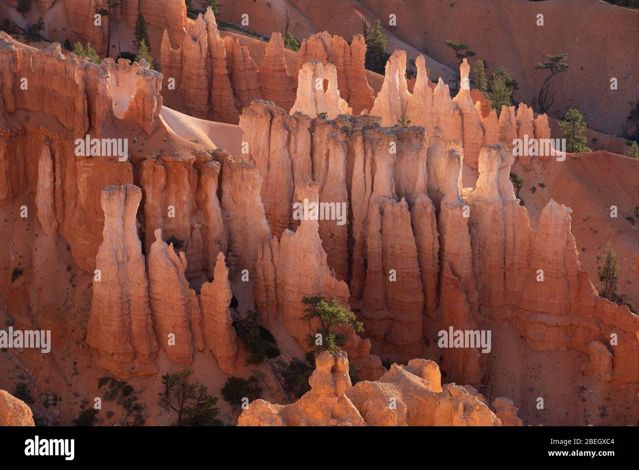 Fairyland Loop Trail in Bryce Canyon Stock Photo - Alamy