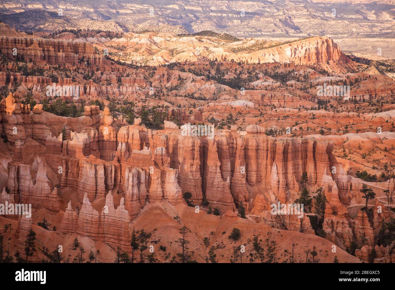Fairyland Loop Trail in Bryce Canyon Stock Photo - Alamy