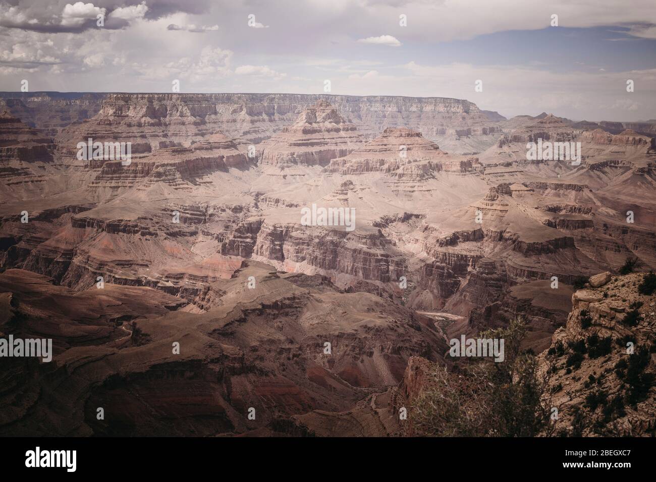 Grand Canyon environment at summer Stock Photo - Alamy