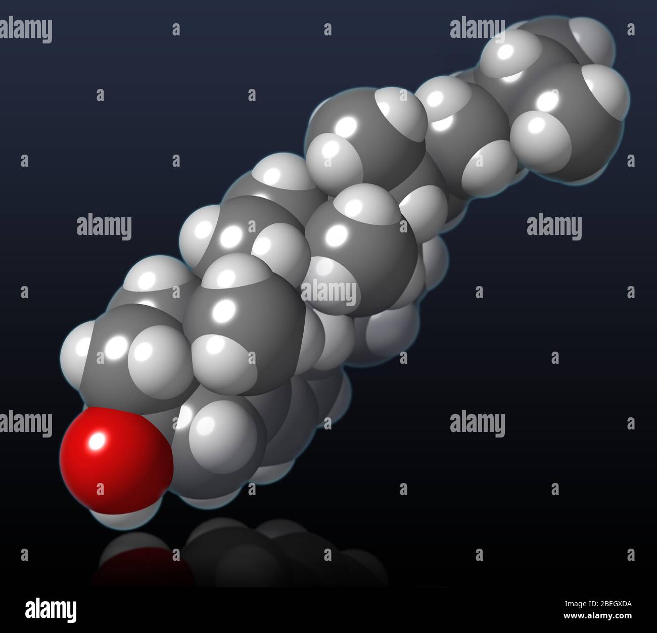Cholesterol molecular model hi-res stock photography and images - Alamy
