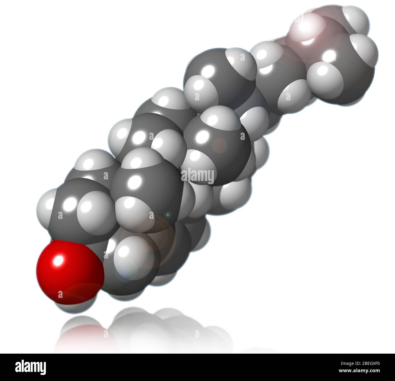 Cholesterol Molecular Model Stock Photo - Alamy