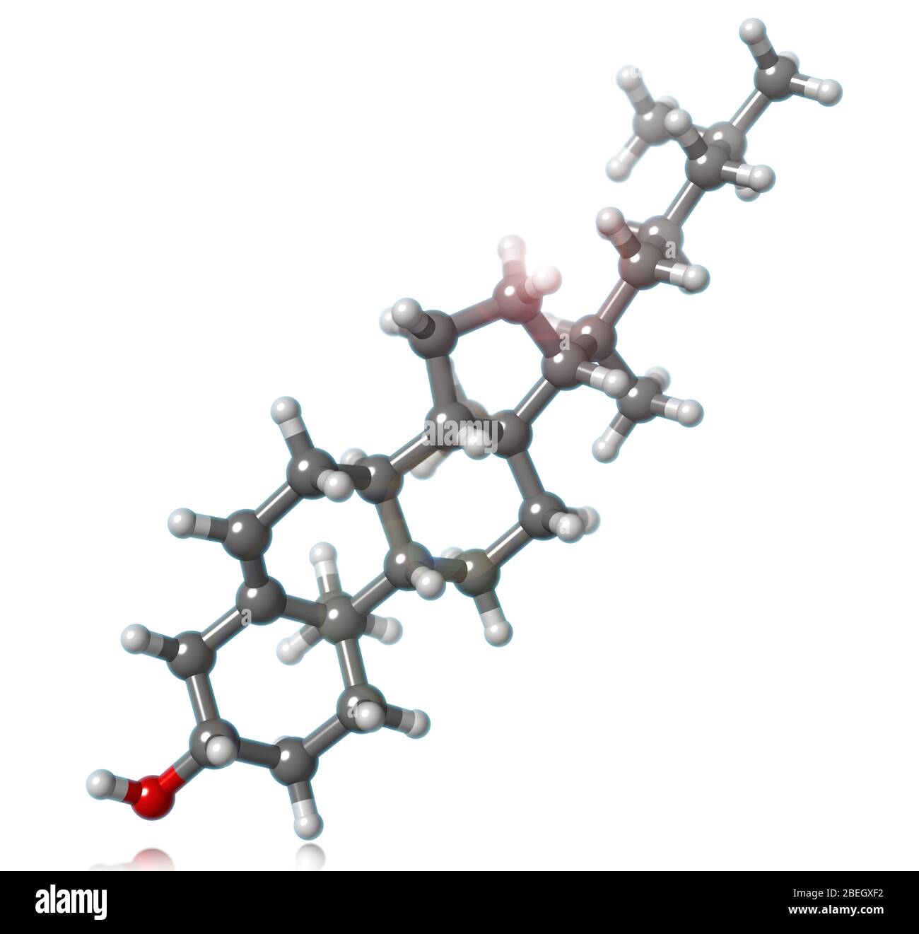 Cholesterol 3d Structure