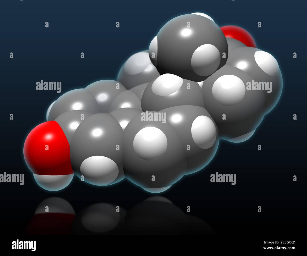 Estrogenic hormone hi-res stock photography and images - Alamy