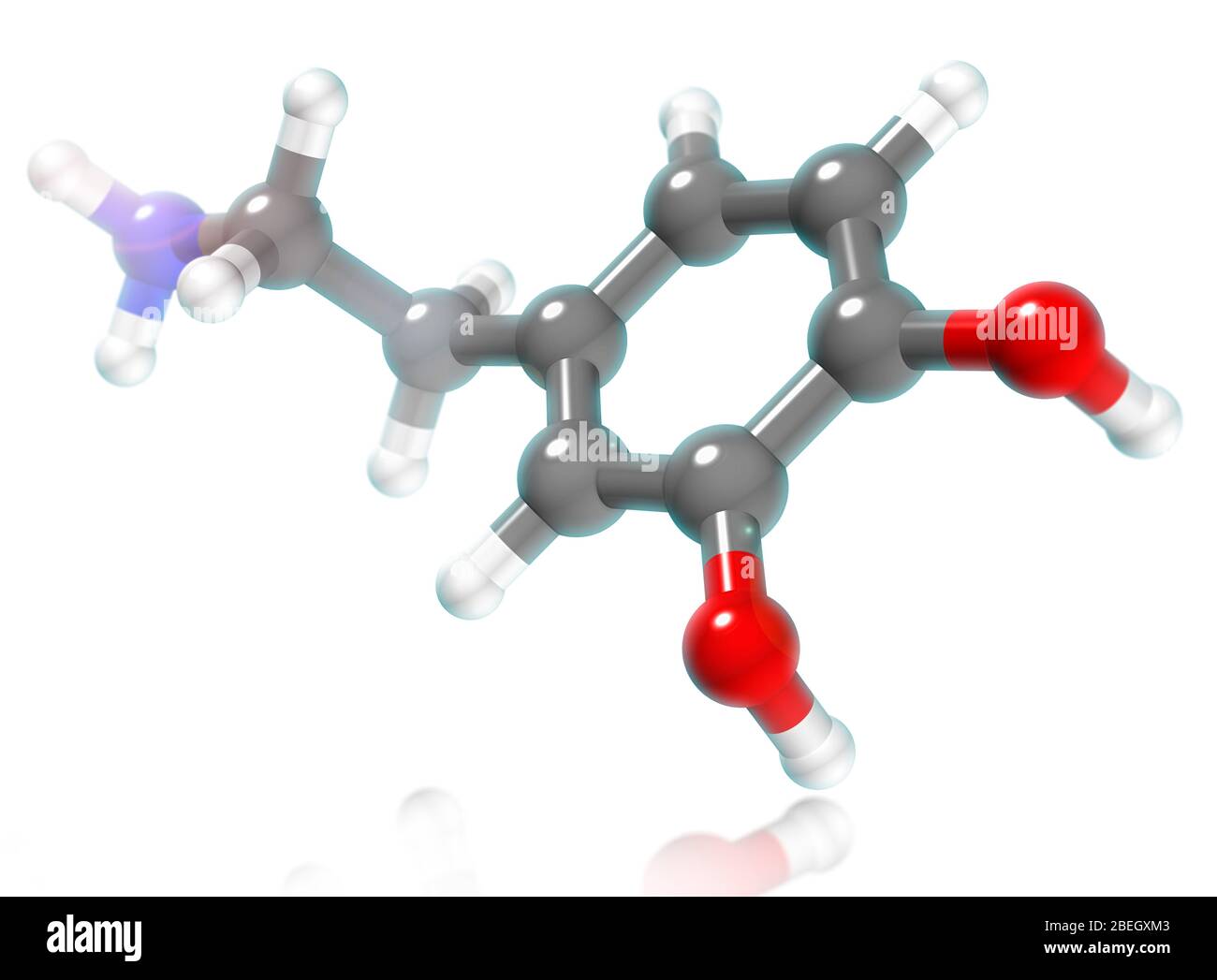 Dopamine 3d molecular model hi-res stock photography and images - Alamy
