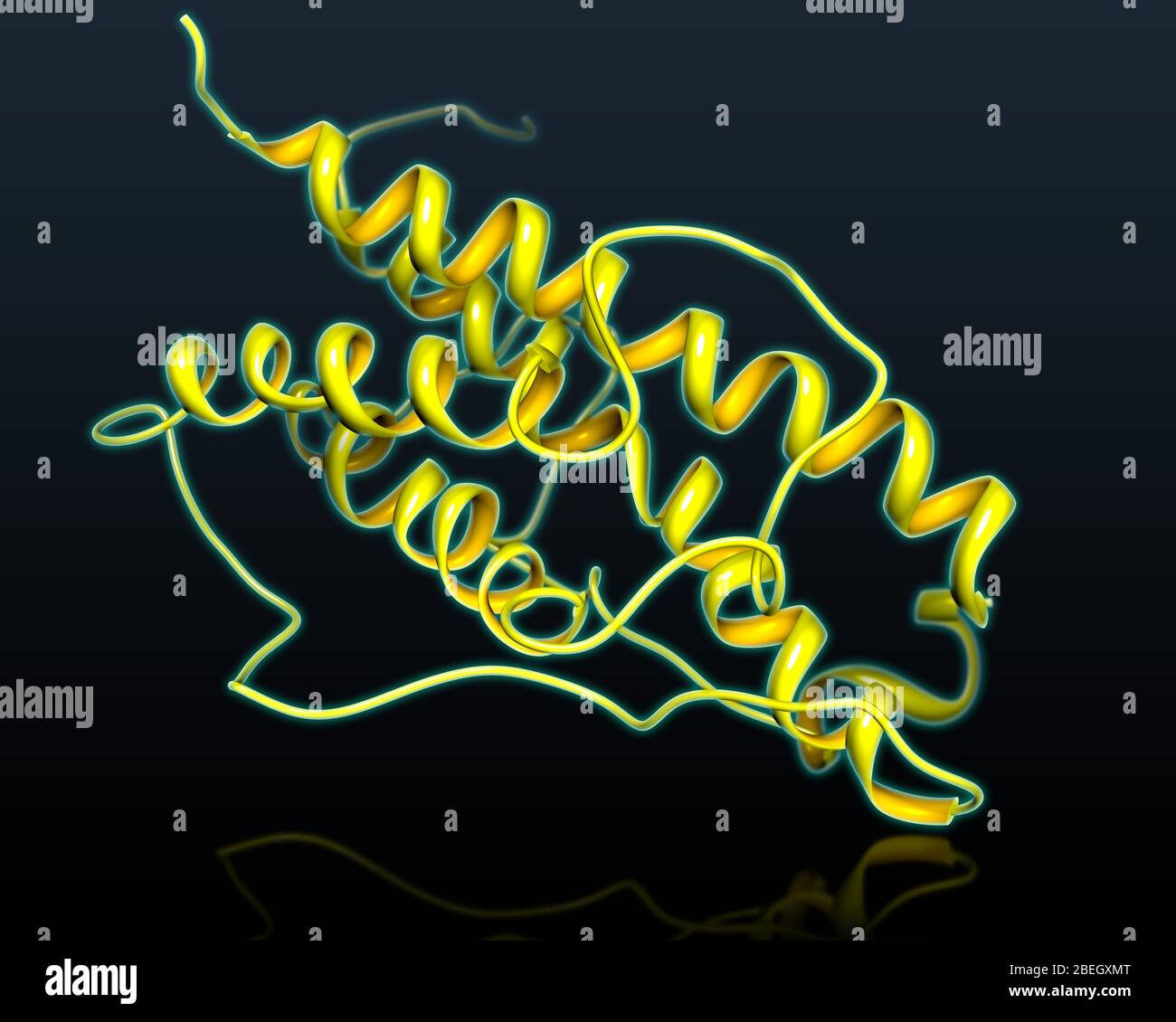 Human growth hormone hi-res stock photography and images - Alamy